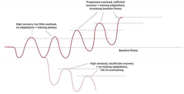 Five Training Principles you CAN’T ignore to achieve your fitness goals ...