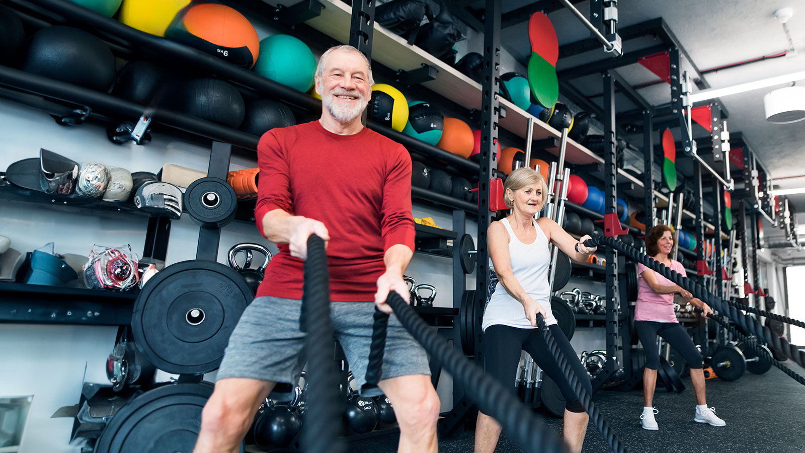 High-Velocity Resistance Training Improves Executive Function in Mobility-Limited Older Adults ...